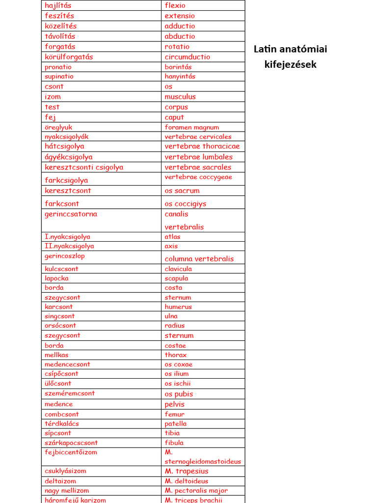 Latin anatómiai kifejezések_javított | PDF