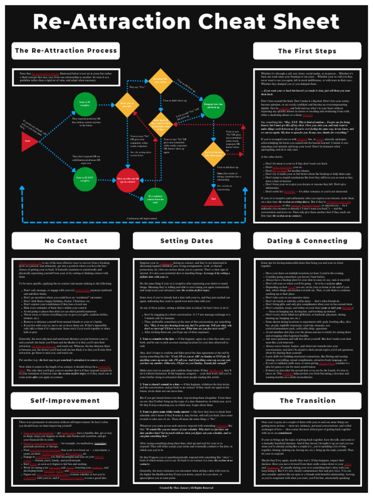 The Re Attraction Cheat Sheet | PDF