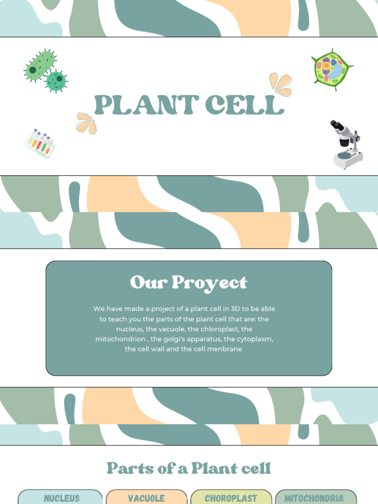 Plant Cell | PDF | Cell (Biology) | Cell Membrane