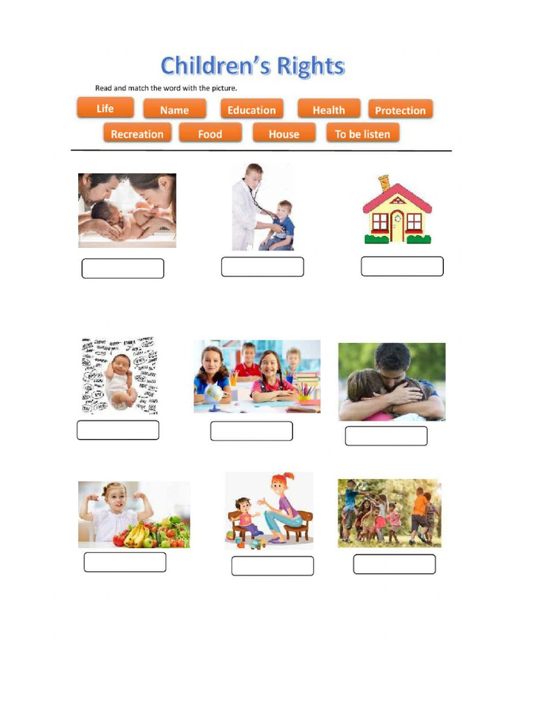 Children S Rights Worksheet | PDF