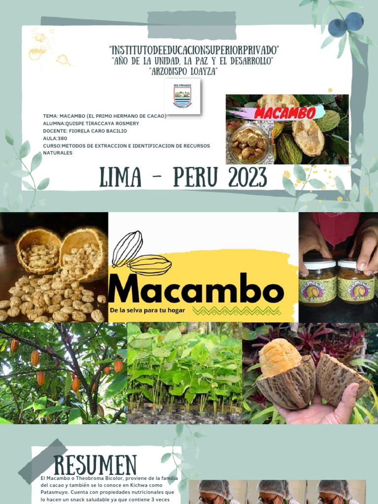 Beneficios y propiedades del macambo | PDF | Plantas | Botánica