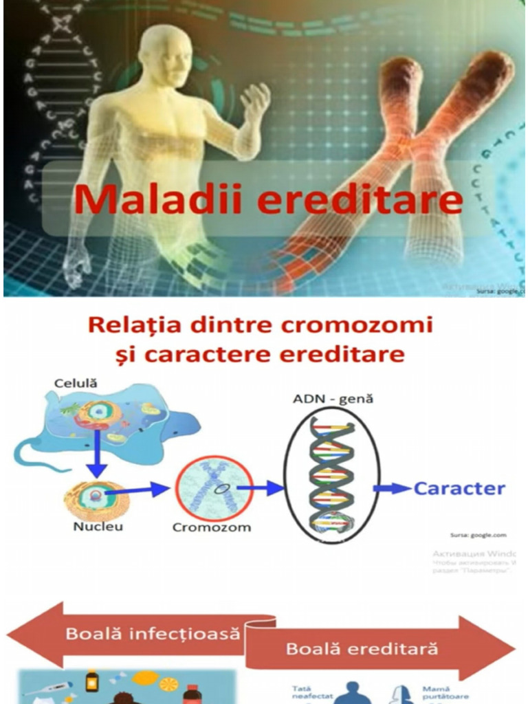 Genetica Umana. Maladii Ereditare Si Cromozomiale cl9 | PDF