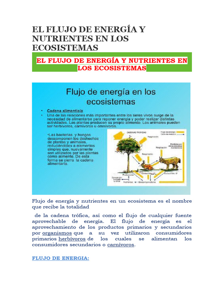 Flujo de Energía y Nutrientes en Ecosistemas | PDF | Red alimentaria | Agua