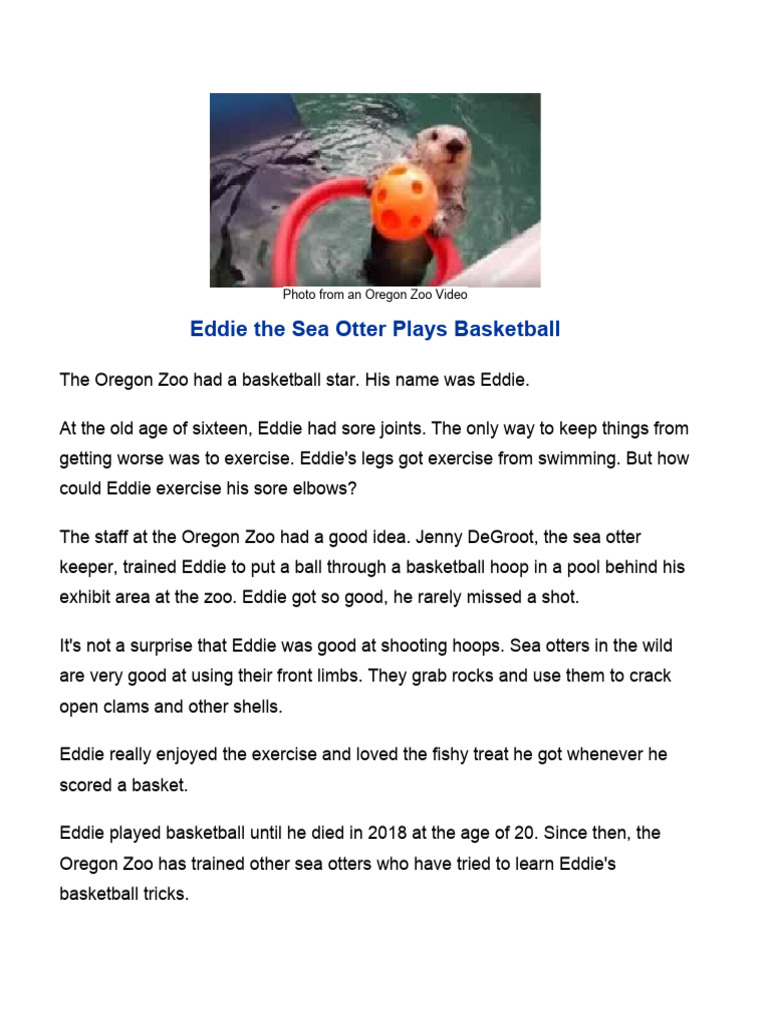 Eddie The Otter Basketball | PDF