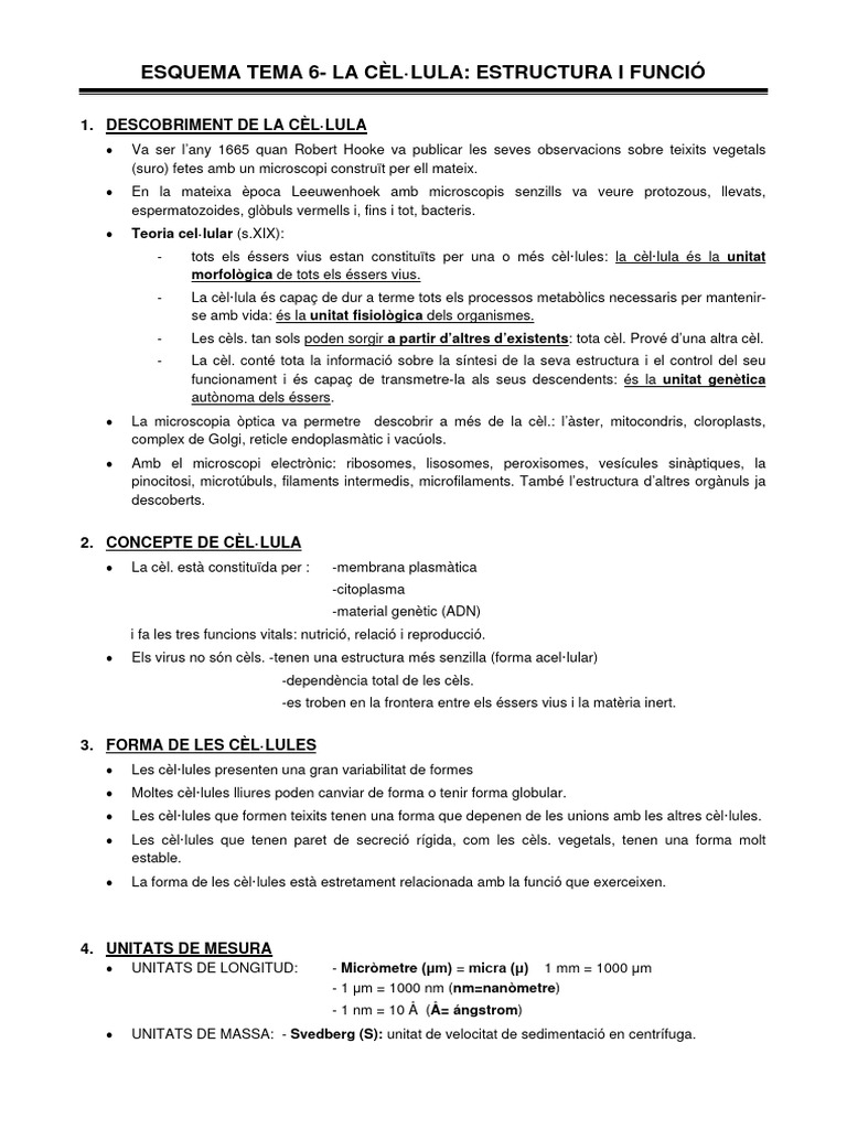 Esquema Tema 6 I Membrana | PDF