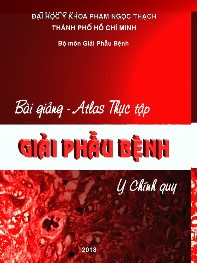 Giao Trinh Thuc Tap GPB y 3 y Viet Duc 2018p1 0922 | PDF