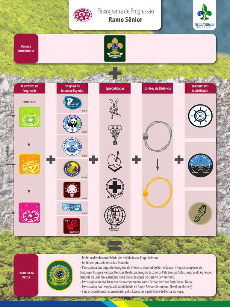 Fluxogramas de Progressao Ramo Senior | PDF
