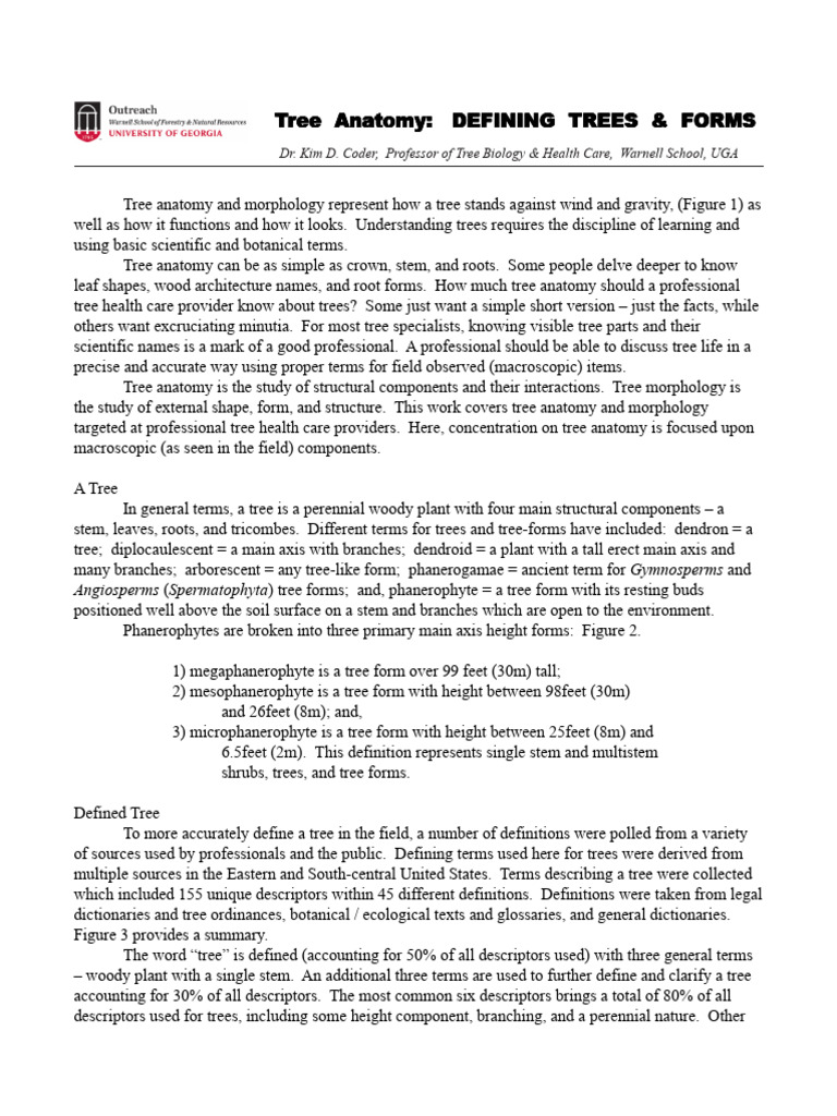 Dr. Kim D. Coder, Professor of Tree Biology & Health Care, Warnell ...