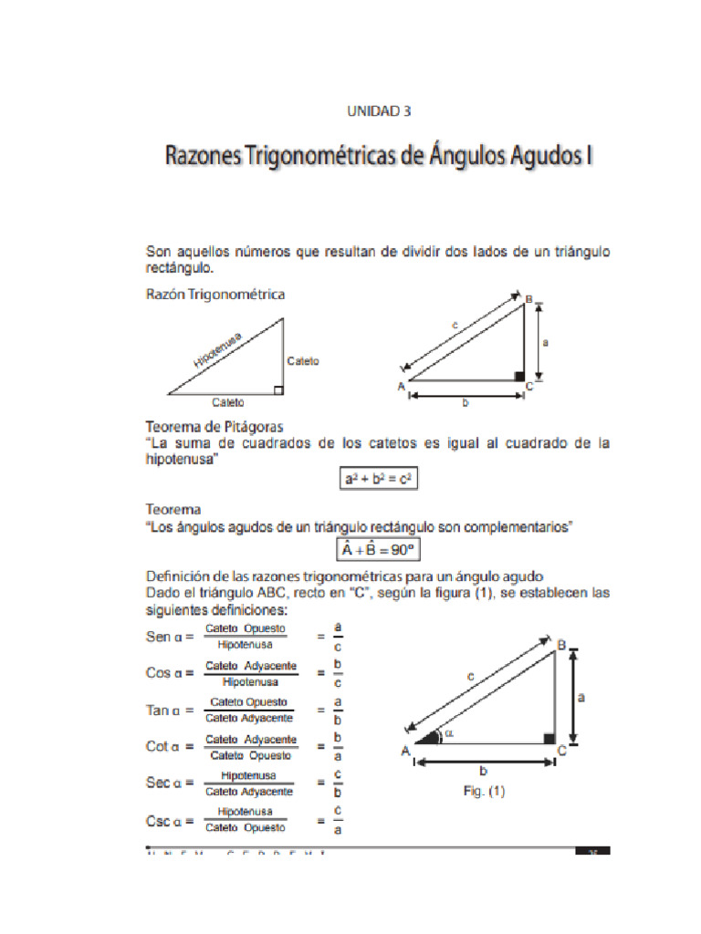 Razones Trigonometricas | PDF