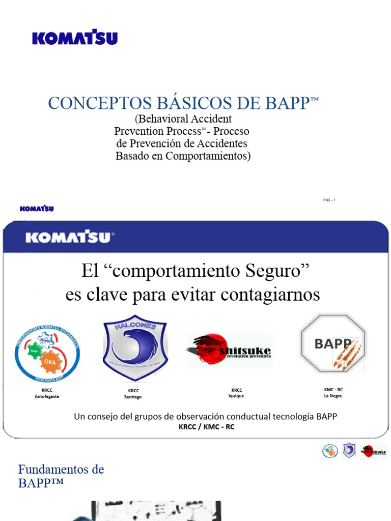 Conceptos Básicos de Bapp™ | PDF | Comportamiento | Sicología