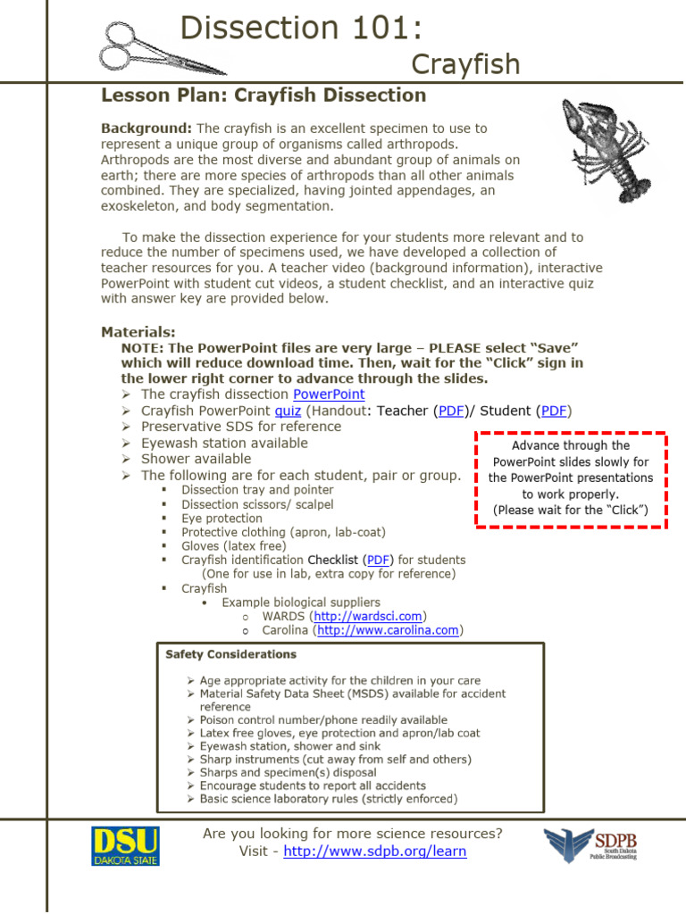 Crayfish Dissection Lesson Plan | PDF | Wellness