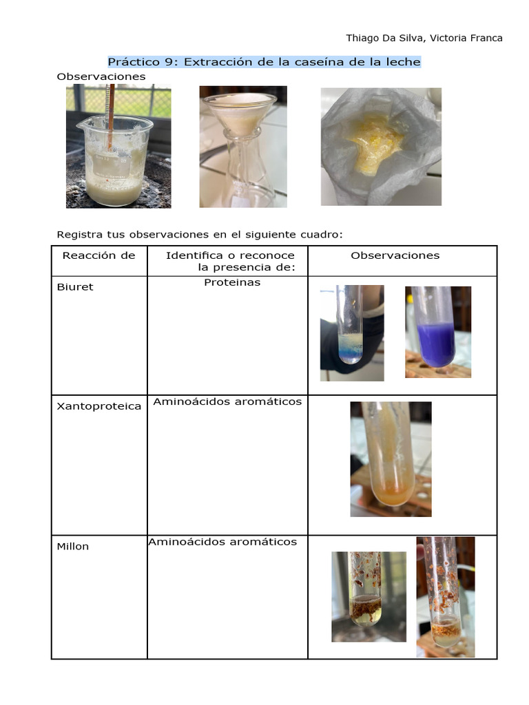 Extraccion de Caseina | PDF | Desnaturalización (bioquímica) | Proteínas