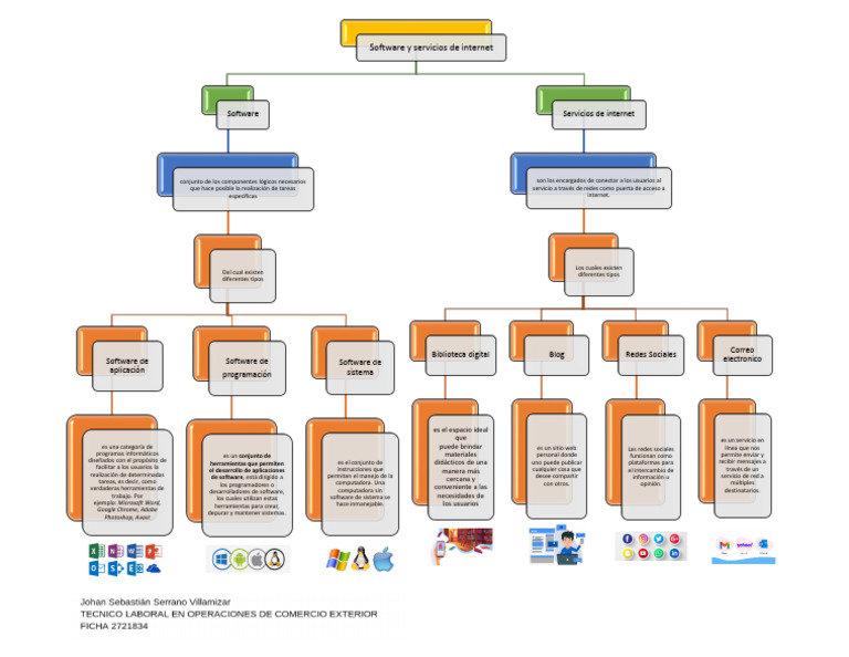 Mapa Conceptual Sobre Los Tipos de Software y Servicios de Internet | PDF | Internet | Software