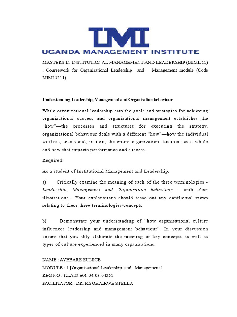 Understanding Leadership | PDF