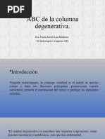 Clasificación de Pfirrmann Modificada | PDF | La columna vertebral ...