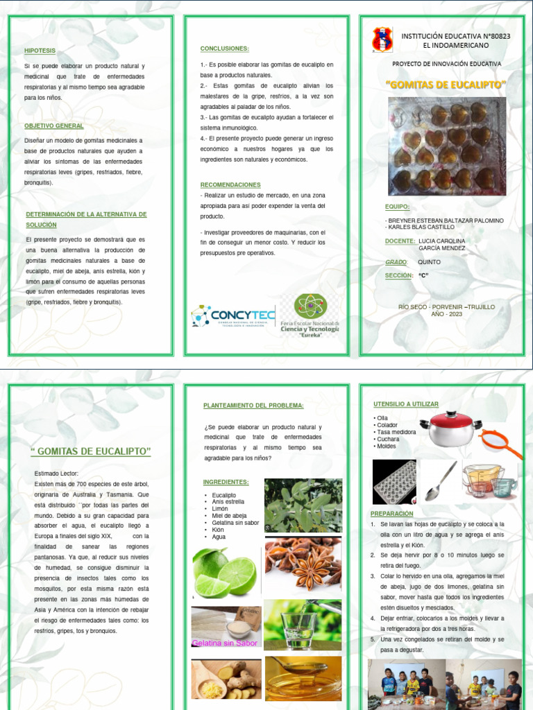 Triptico de Proyecto Gomitas de Eucalipto Del 5° C - 2023 | PDF