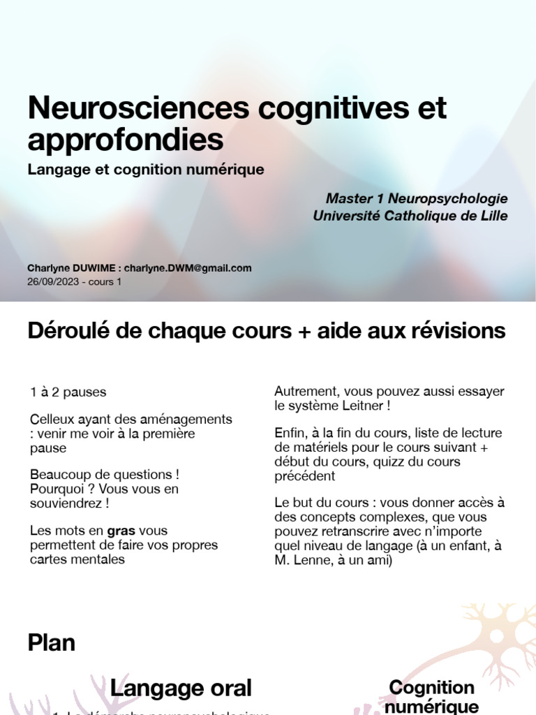Neurocognitive - DWM | PDF