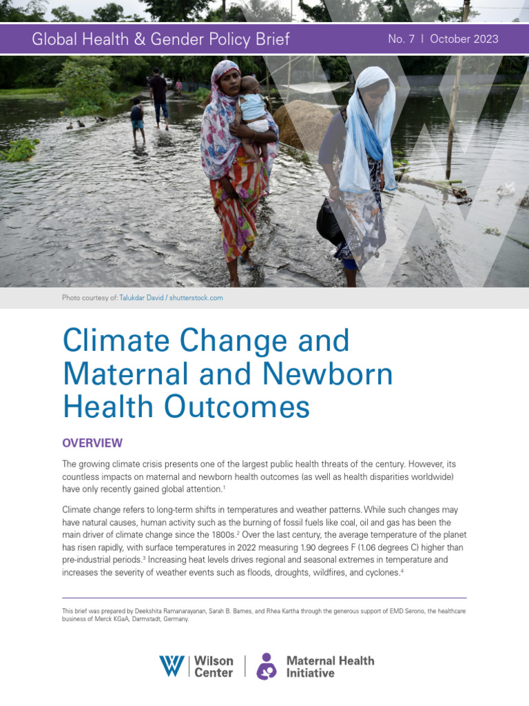 Climate Change and Maternal and Newborn Health Outcomes | PDF ...