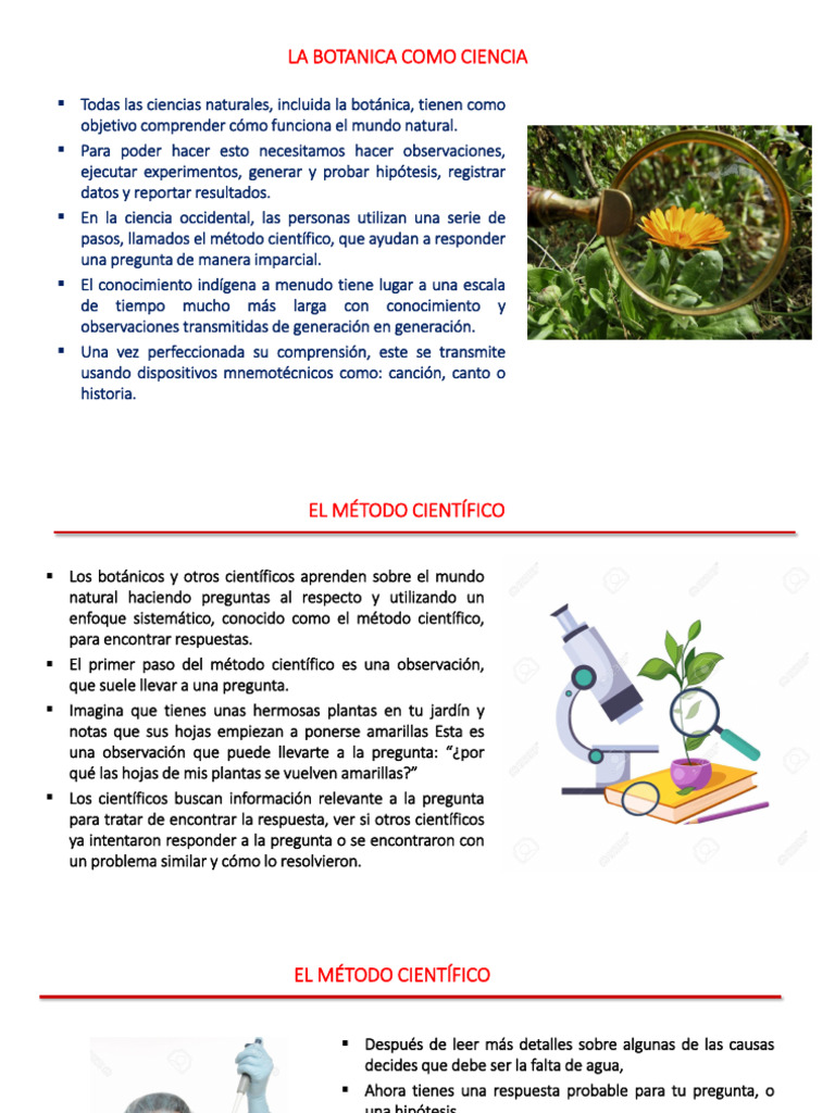 La Botánica: Ciencia y Método Científico | PDF | Botánica | Science