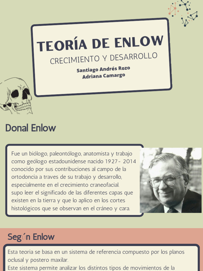 Enlow | PDF | Cráneo | Hueso