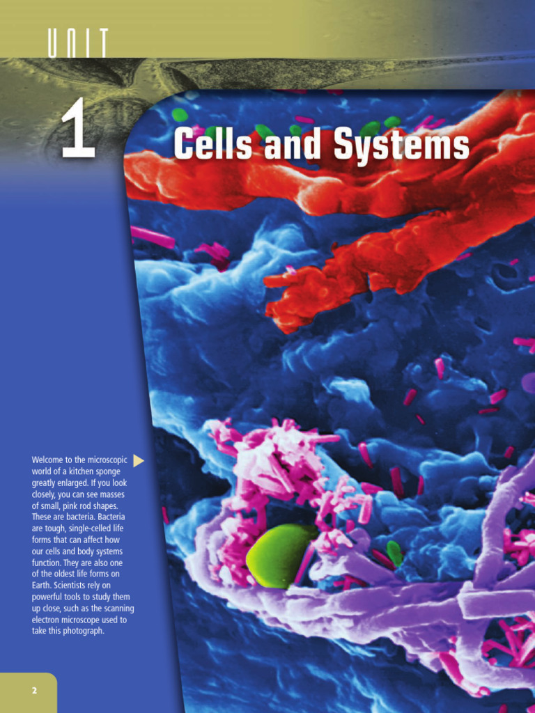 BC Science8 Textbook | Download Free PDF | Microscope | Microscopy