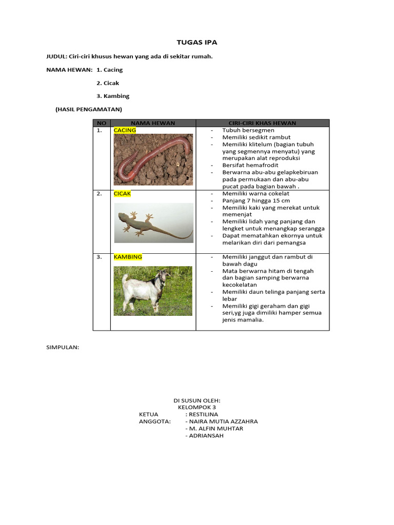 Ciri Khusus Hewan Rumah: Cacing, Cicak, Kambing | PDF