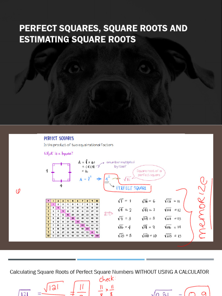 GR 9 Square Roots&Estimation ENG2022 | PDF