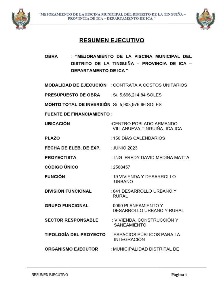 Resumen Ejecutivo | PDF