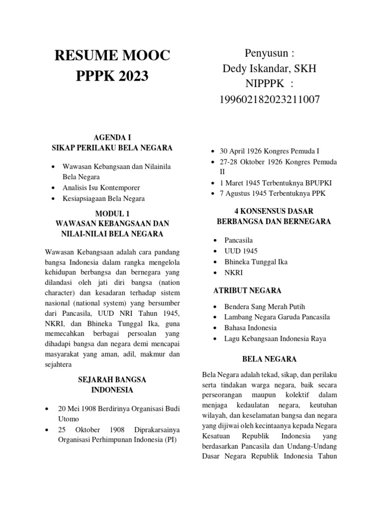 Resume Mooc PPPK 2023 Dedy Iskandar | PDF