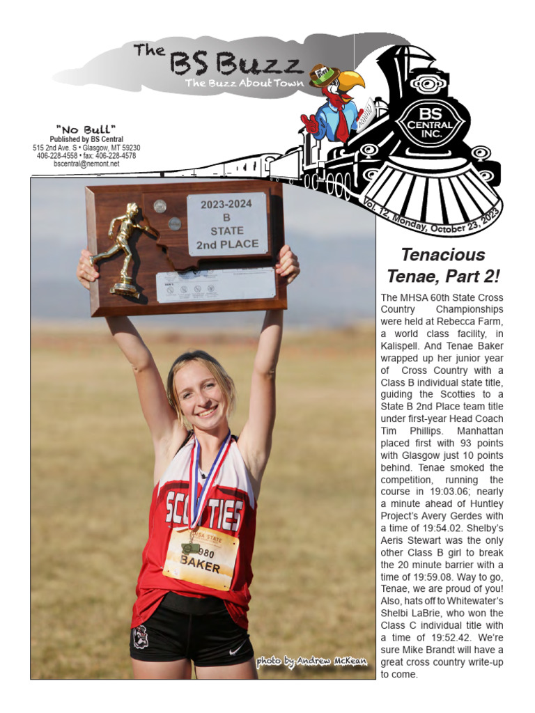 BS Buzz | PDF | Driving