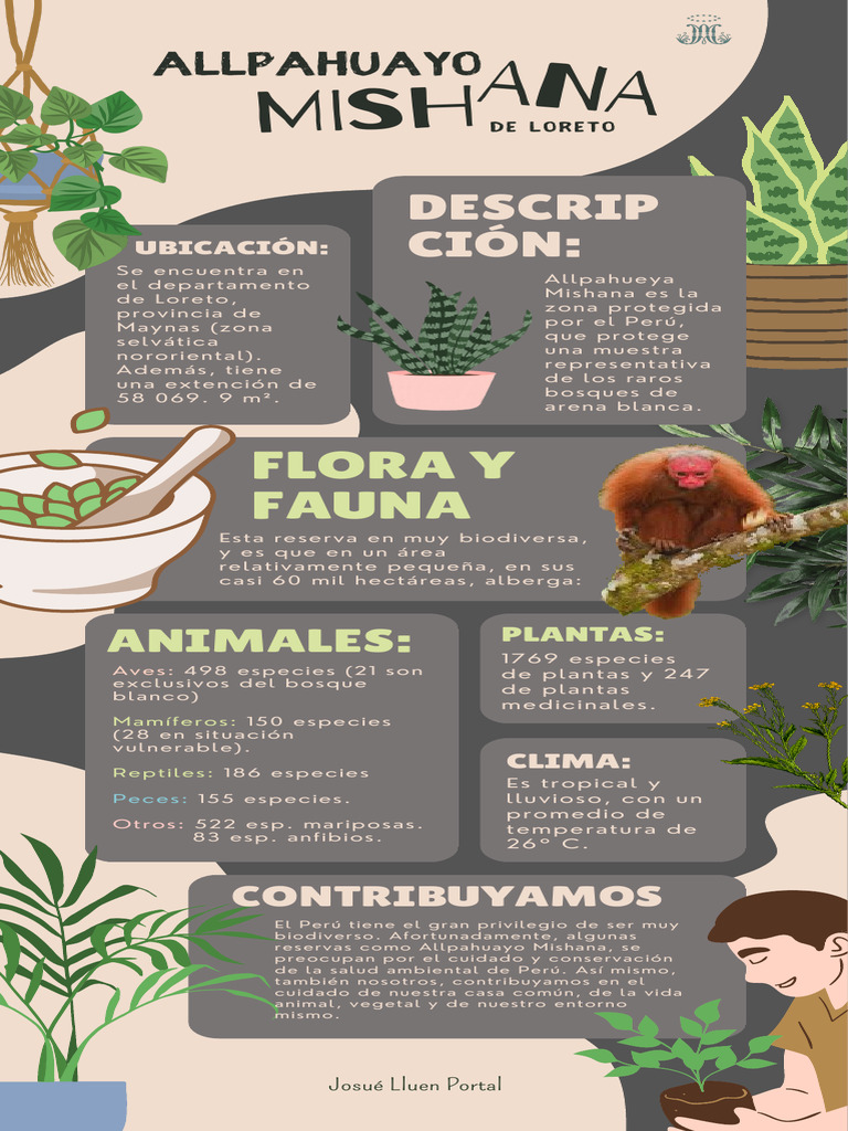 Infografía (Allpahuayo Mishana) | PDF