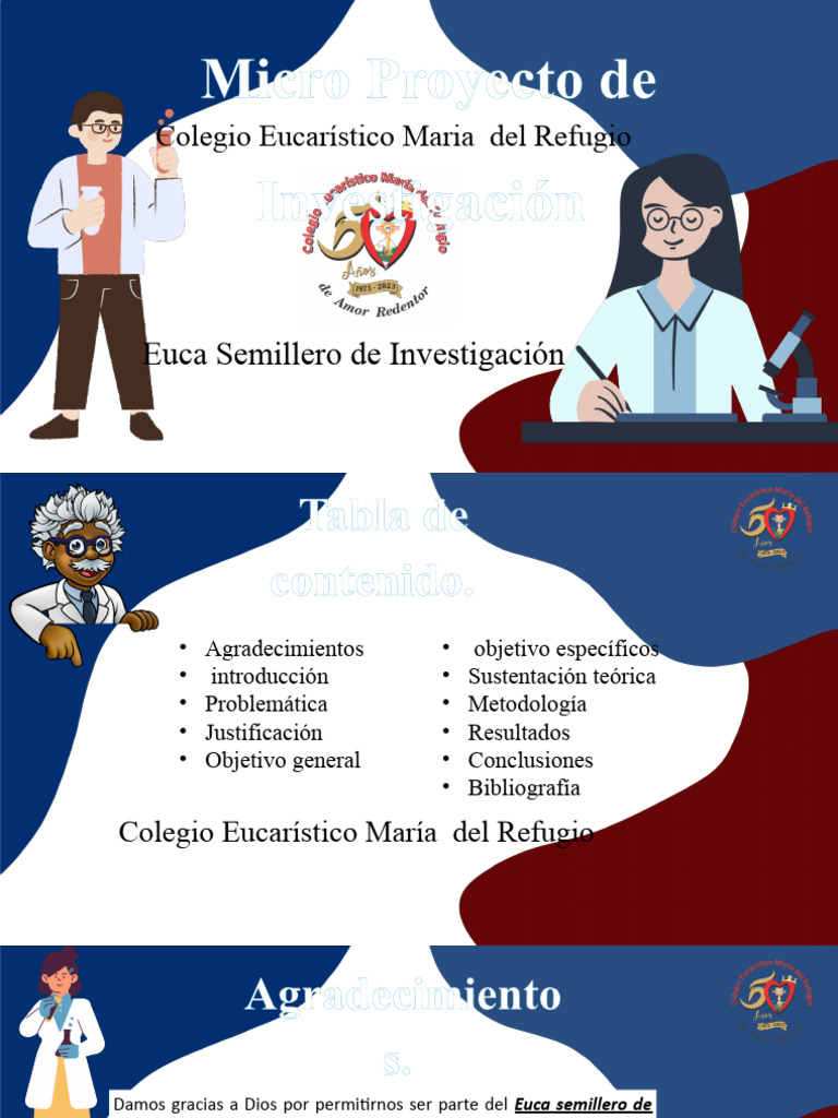 Proyecto de Investigacion 2023 Silvana Jaramillo y Maria Jose Forero ...