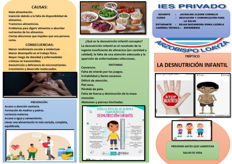 Triptico Desnutrición Infantil Descargar Gratis Pdf Desnutrición