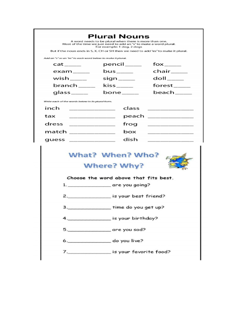 Singular Plurals WH Questions | PDF