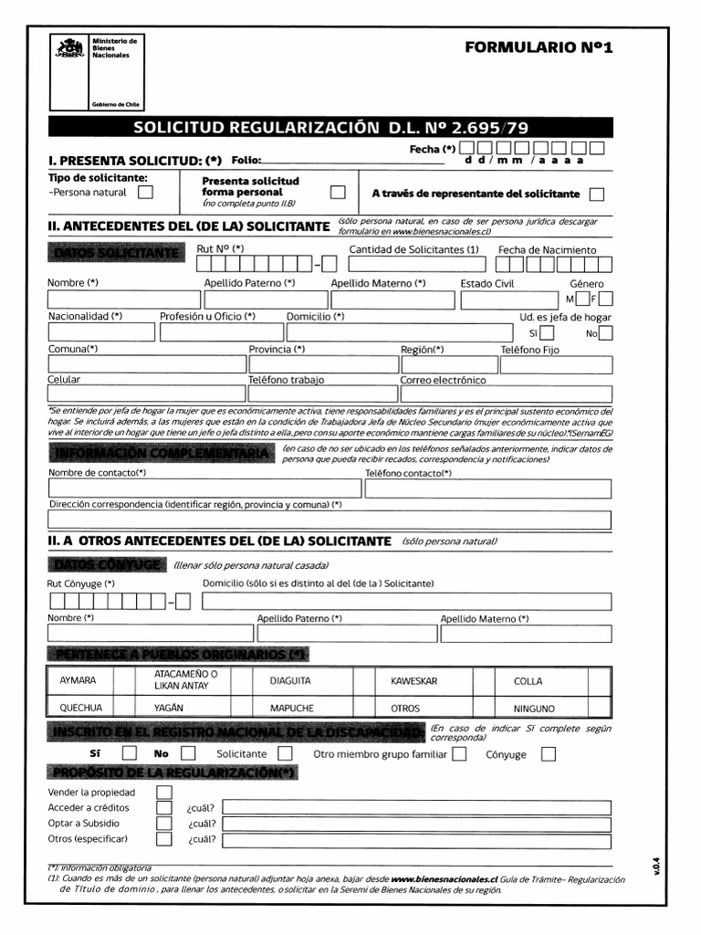 formulario bienes nacionales 2022 borrador | PDF