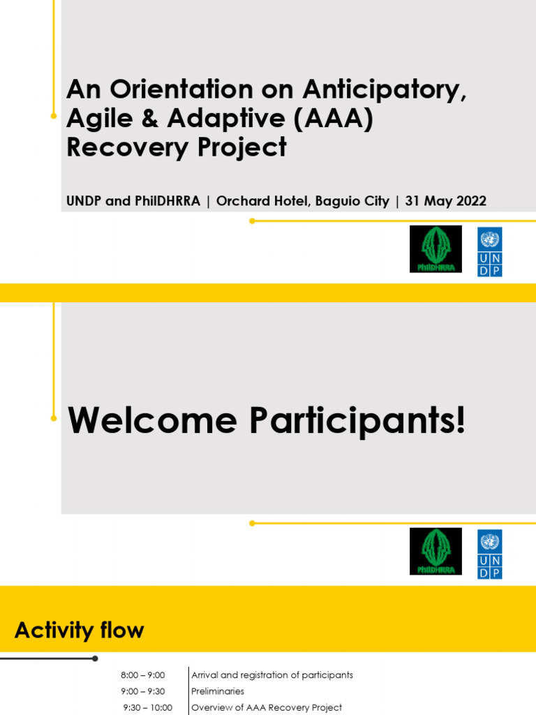 AAA Recovery Project Brief | PDF | Governance | Government