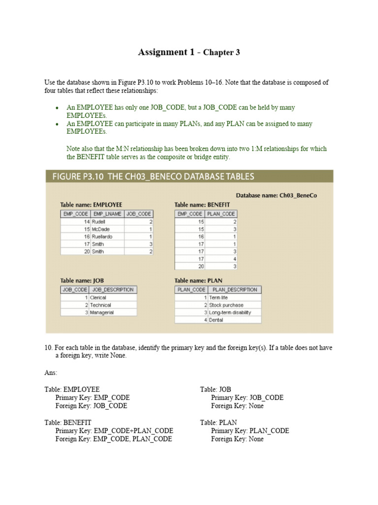 DBMS Assignment1 | PDF | Data Model | Systems Theory