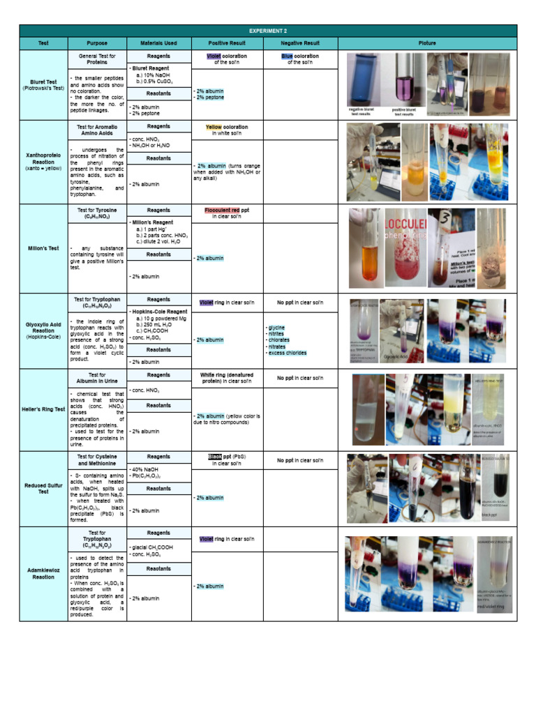 MT1 - BIOCHEM - LAB - MT - EXP2 - Test Summary PDF | PDF | Tryptophan ...