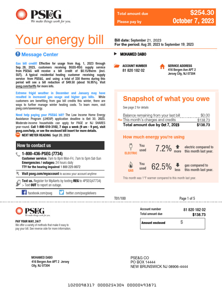 Pseg Bill Mohamed Dabo | PDF | Gases | Payments