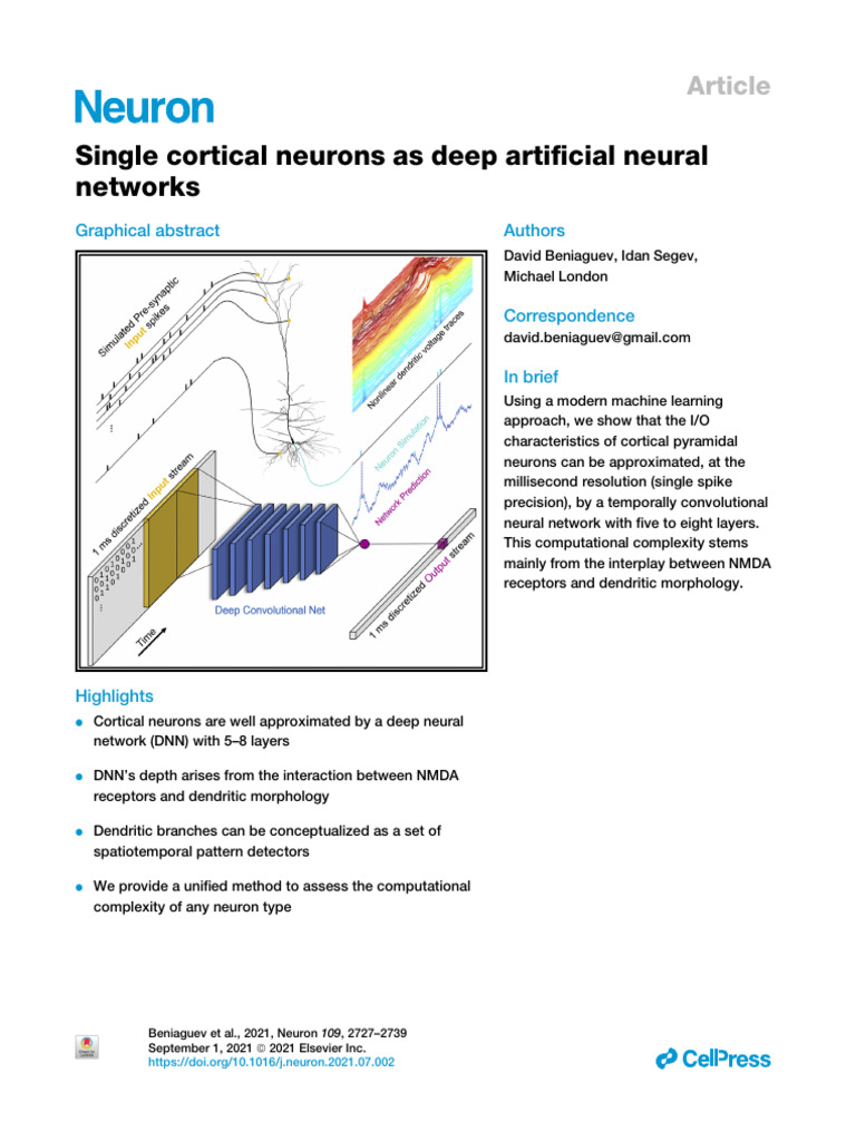 Single Cortical Neurons As Deep Artificial Neural Networks | PDF | Deep ...