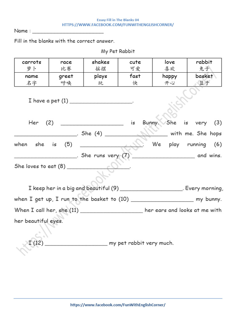 My Pet Rabbit: Fill in the Blanks Essay | PDF