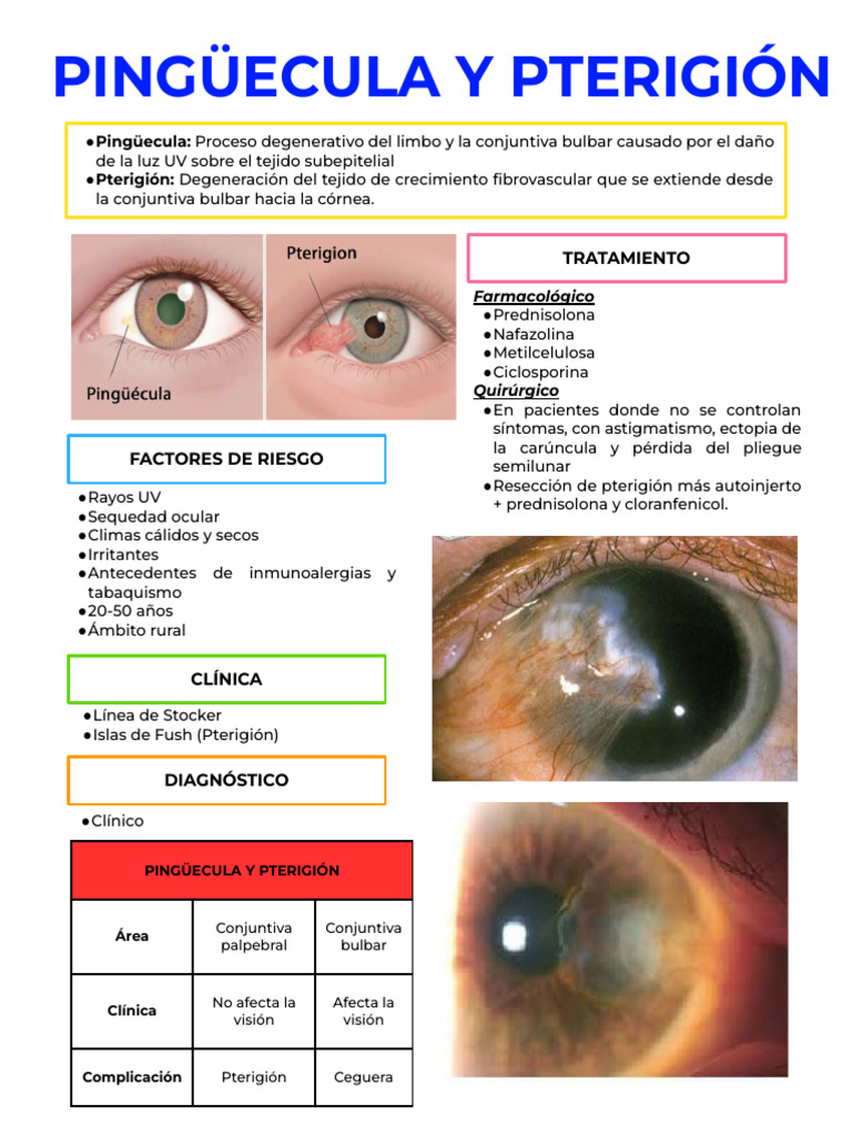 PINGÜÉCULA Y PTERIGIÓN | PDF