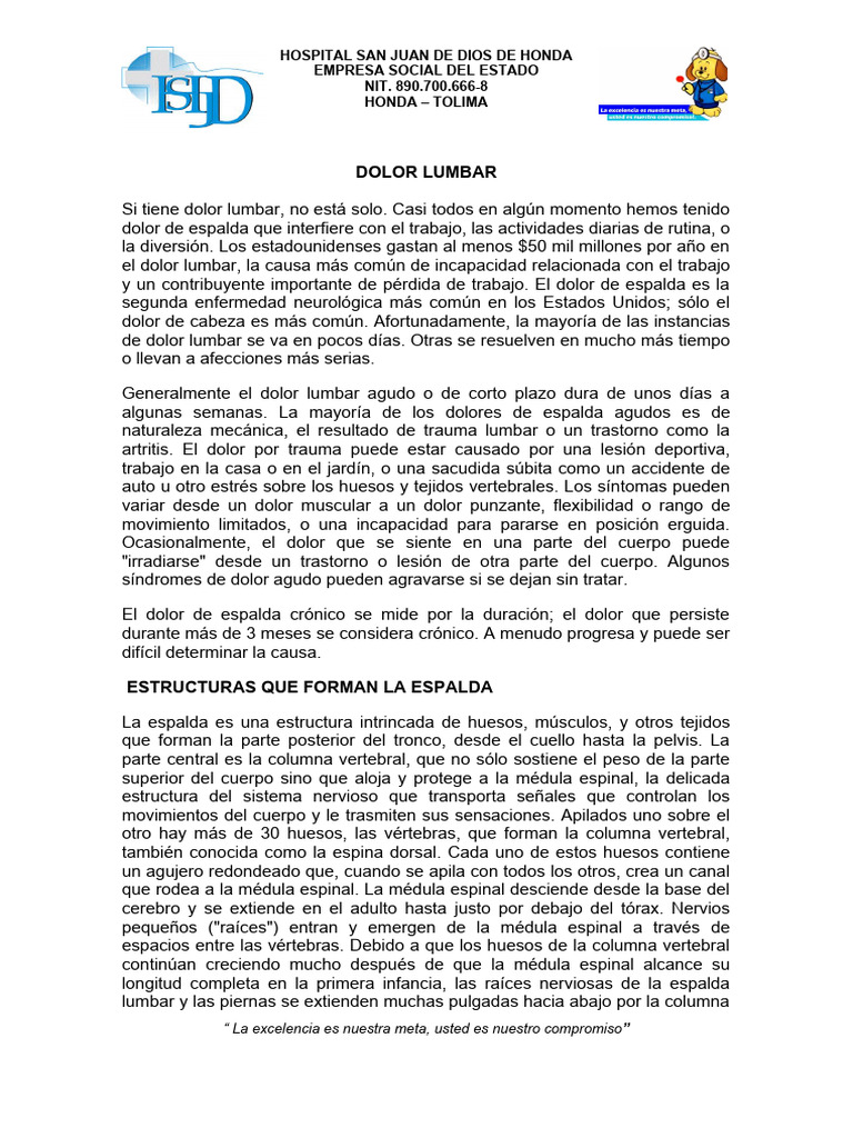 Guias Ortopedia C. Ext | PDF | La columna vertebral | Dolor lumbar Guias Ortopedia C. Ext | PDF | La columna vertebral | Dolor lumbar