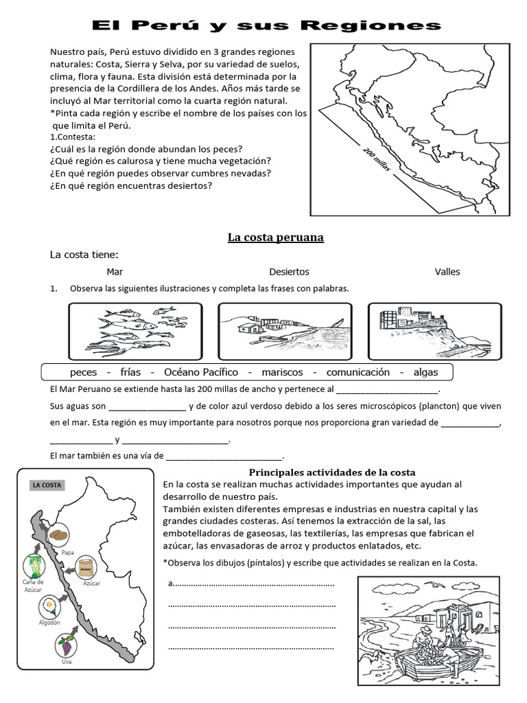Fichas de las Regiones del Perú | PDF | Selva | Perú