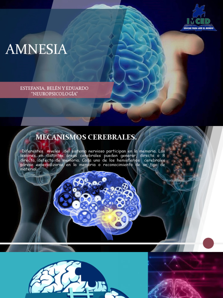 Amnesia | PDF | Amnesia | Memoria