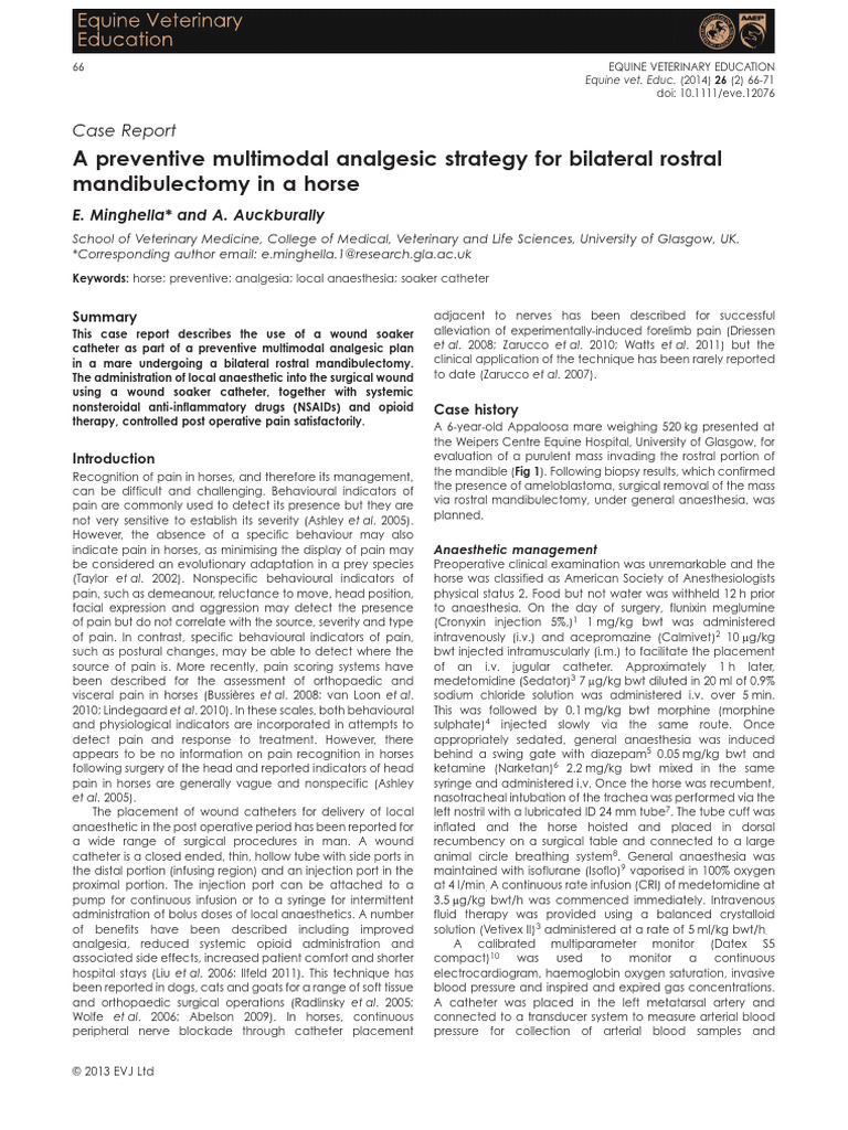 Analgesia Multimodal | PDF | Dentistry | Analgesic Analgesia Multimodal | PDF | Dentistry | Analgesic