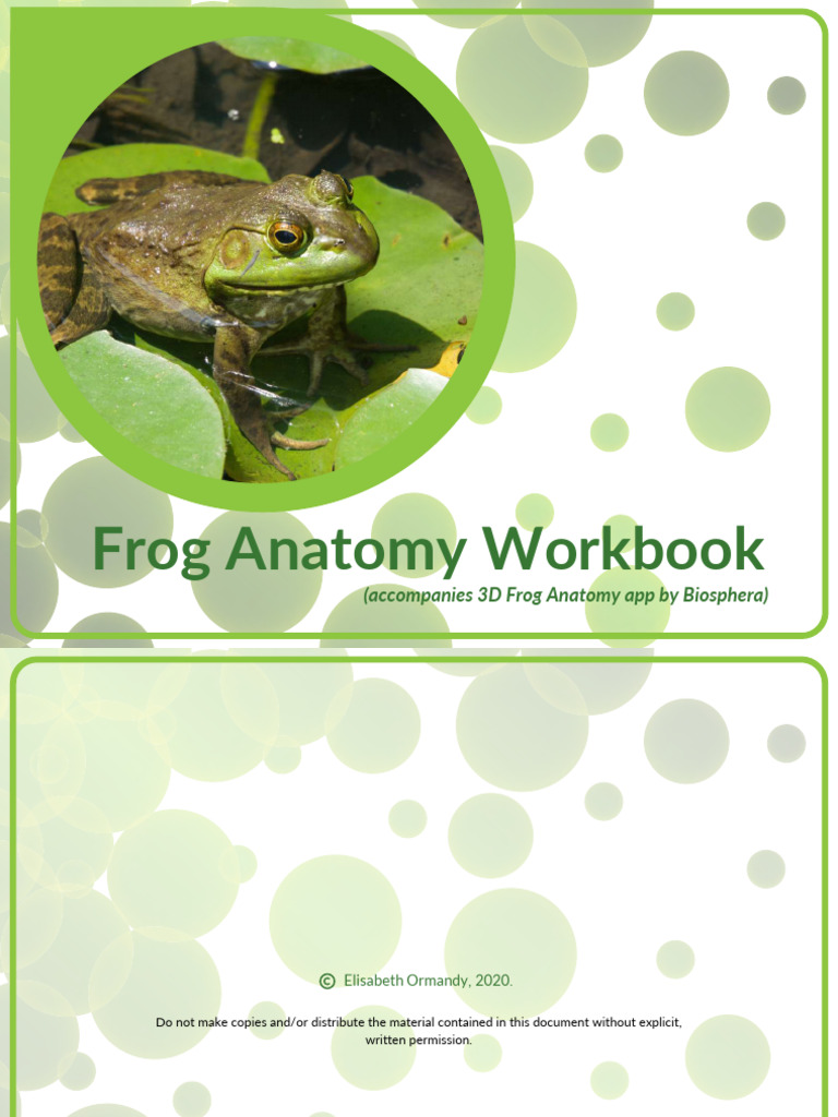 Humane Science Frog Anatomy Student Workbook | PDF | Respiratory System ...