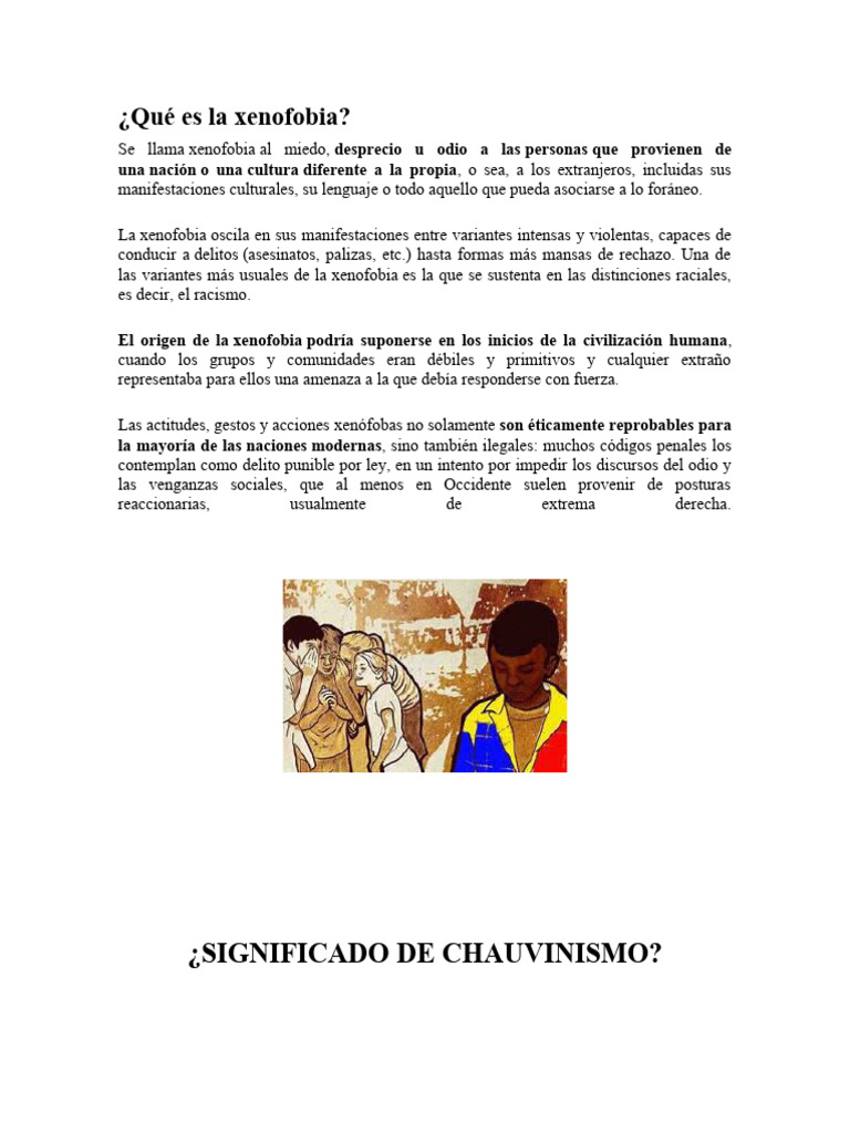 ¿Qué Es La Xenofobia?: ¿Significado de Chauvinismo? | PDF