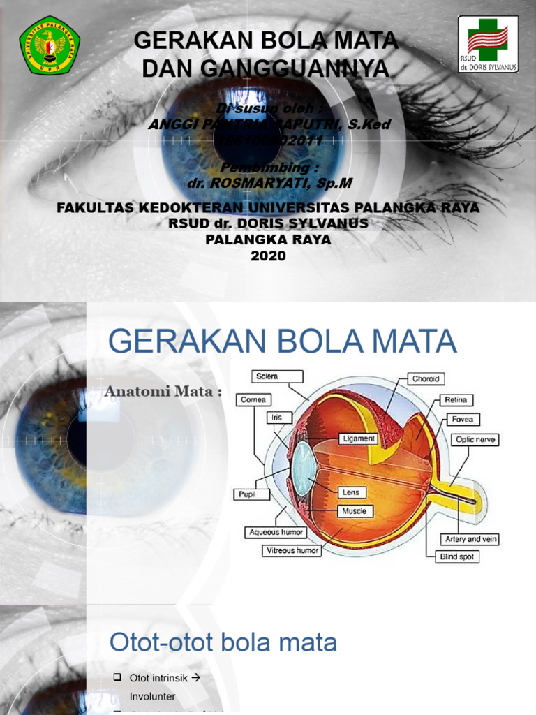 Gerakan Bola Mata dan Gangguannya | PDF