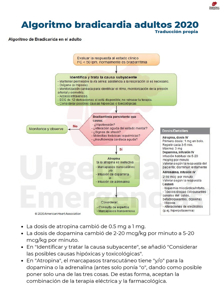 Algoritmo Bradicardia Adulto AHA 2020 | PDF